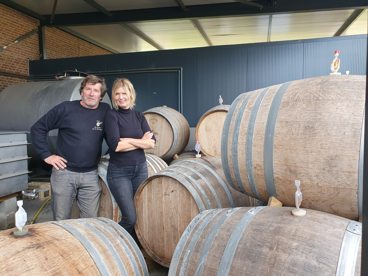 Dochter van de Korenaar start met eigen bierfestival: “Twintig bieren ...