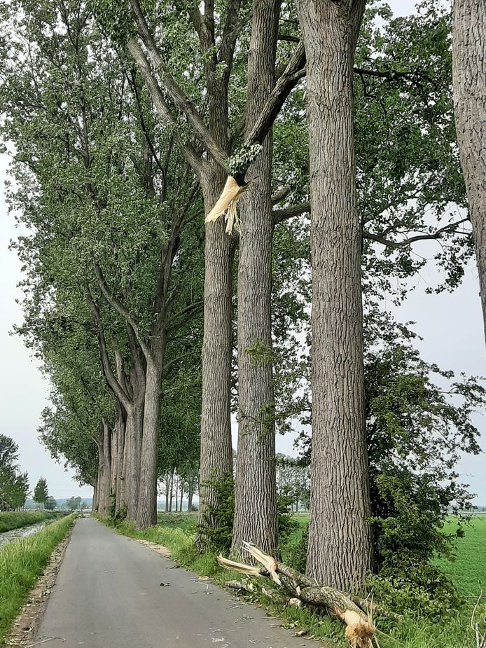 Enkele wegen in Wagenings Binnenveld nog afgesloten wegens stormschade ...