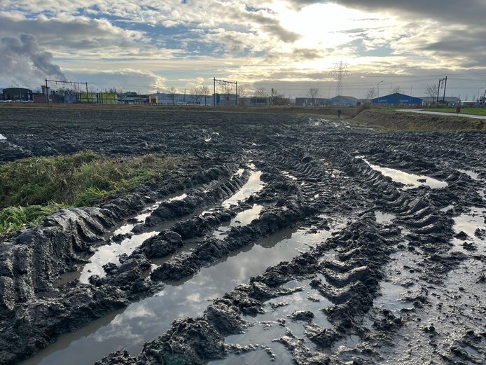 Boeren tussen hoop en vrees vanwege natte grond: Kunnen de aardappelen ...