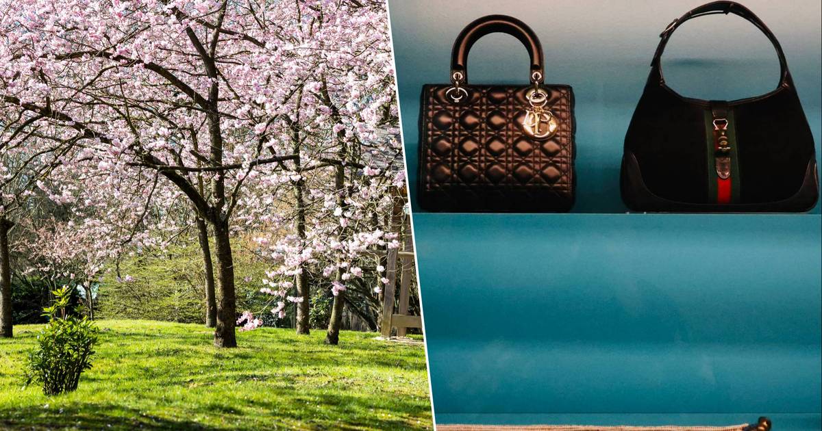 Wat te doen in Hasselt: deze 10 bezienswaardigheden mag je niet missen | Hasselt | hln.be