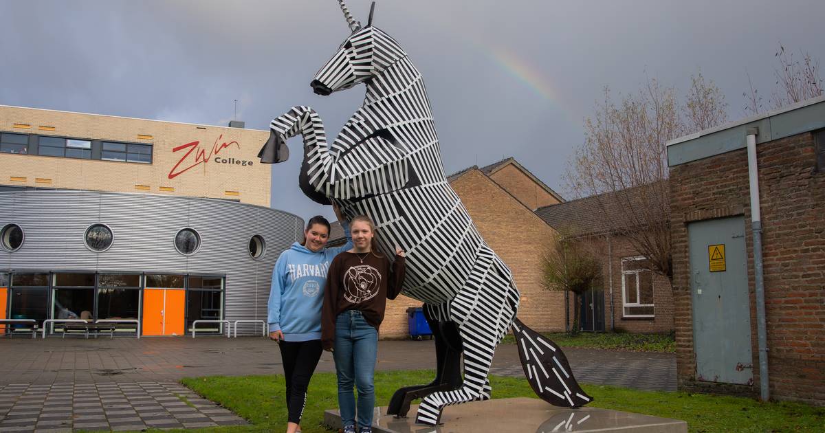 Joekel van een eenhoorn siert schoolplein Zwin College | Zeeuws ...