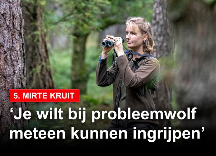 Wij vroegen vijf experts naar hun kijk op de wolf, dit zijn hun ...