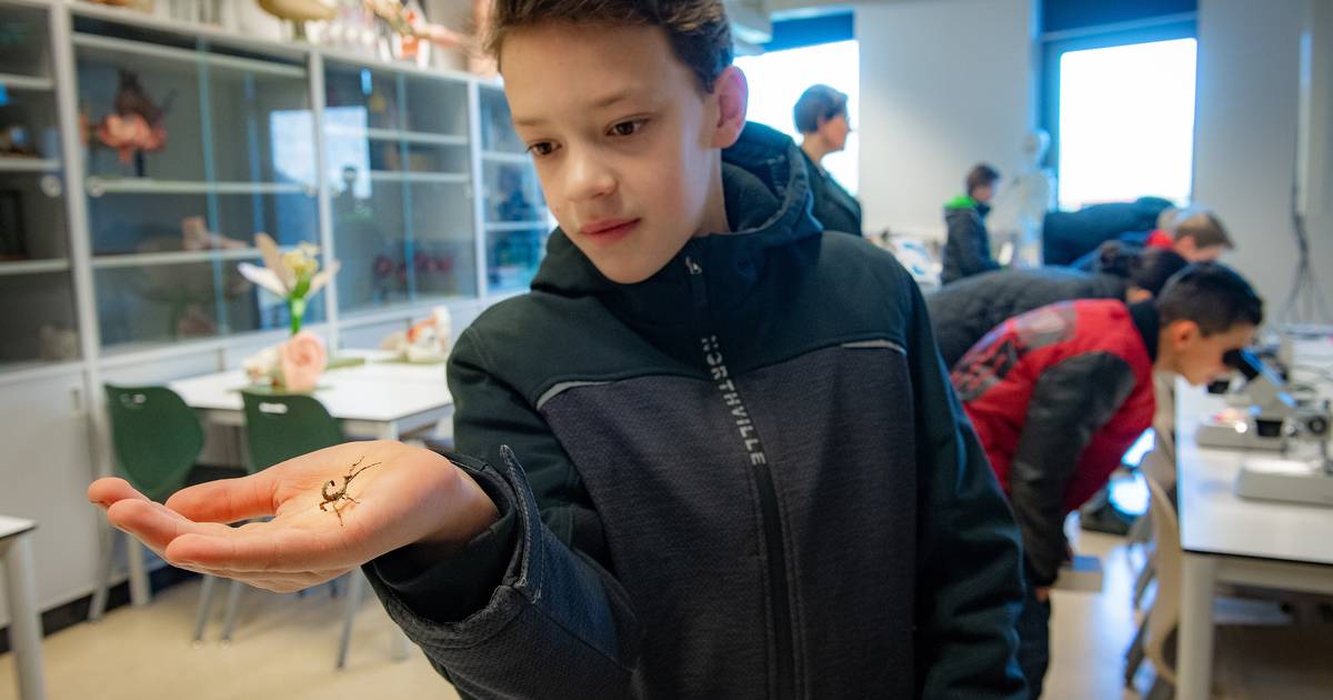 ‘Hoe zit het met de open dagen van middelbare scholen?’ | Nijmegen | AD.nl