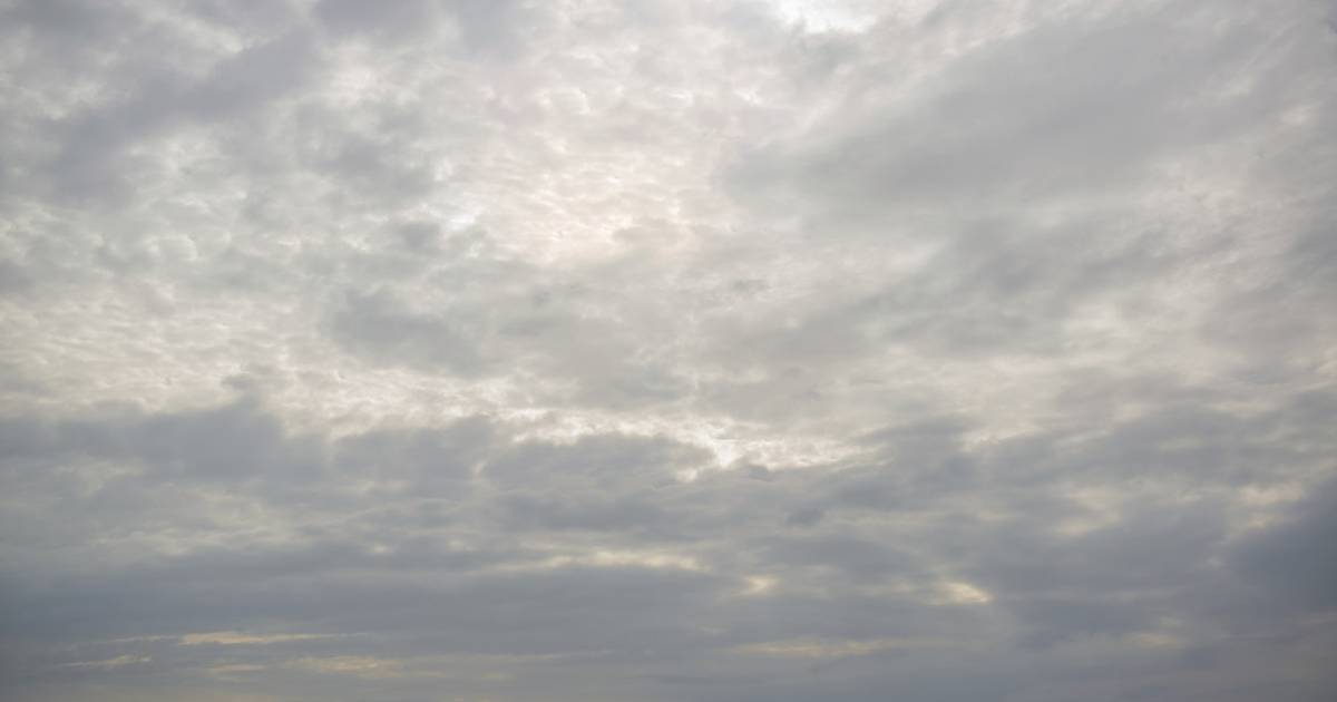 WEERBERICHT. Kans op bewolking in Hasselt vanochtend | Hasselt | hln.be