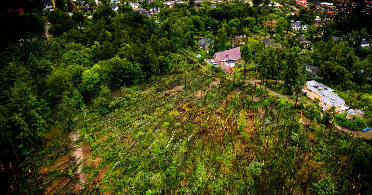 1.5 miljoen euro beschikbaar voor herstellen natuurschade door valwind ...