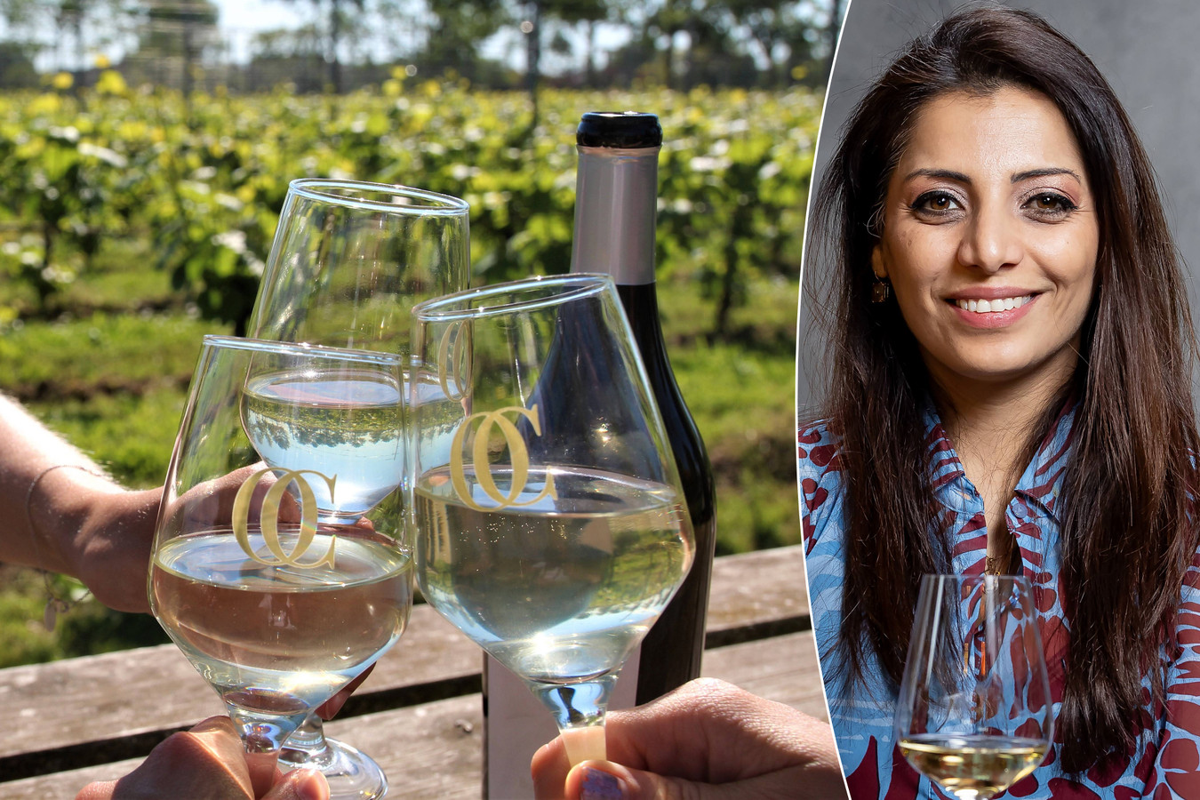 “Deze Belgische wijn van 22 euro uit de supermarkt is echt de moeite ...