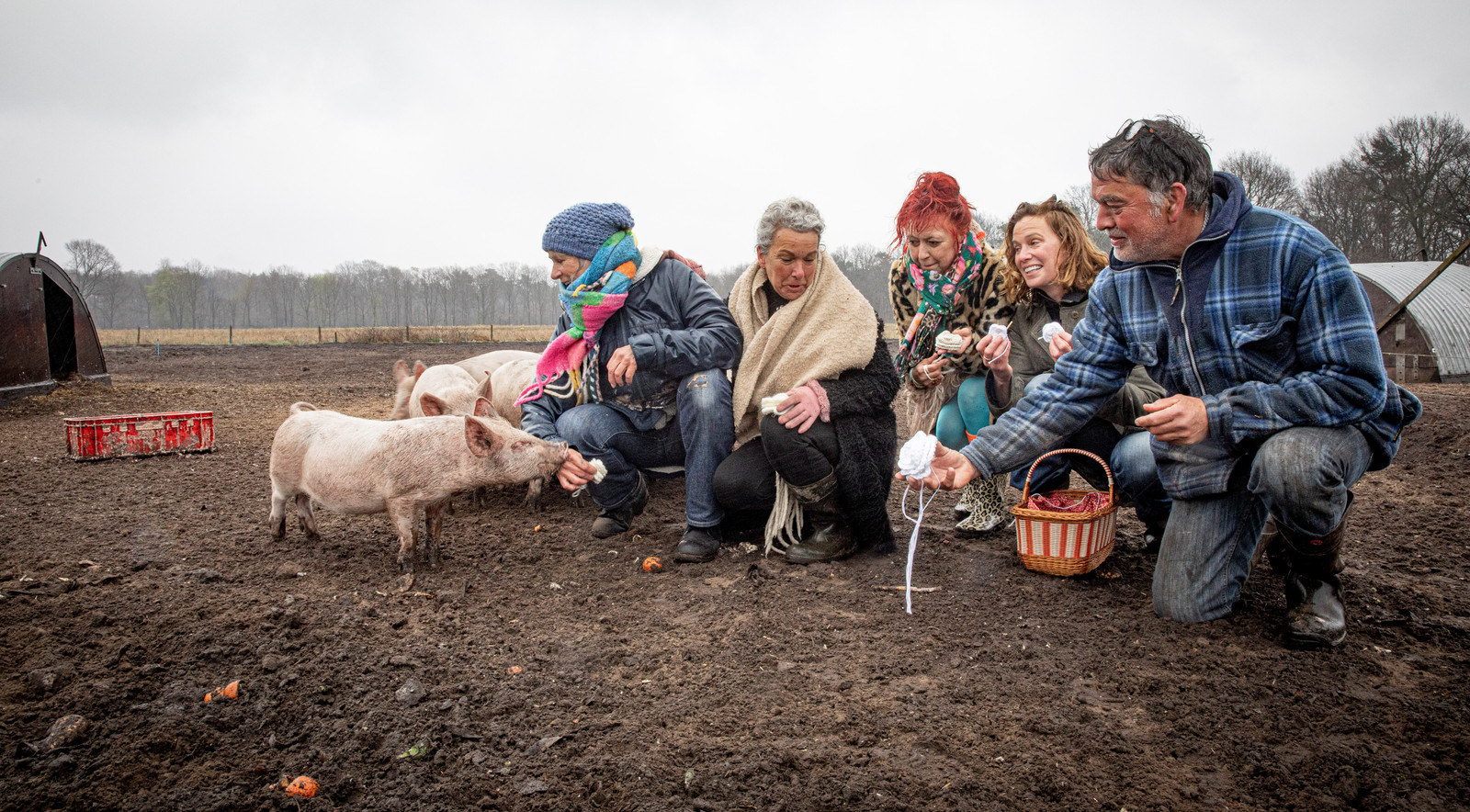 Monument van duizenden gehaakte rozen voor miljoenen geruimde dieren ...