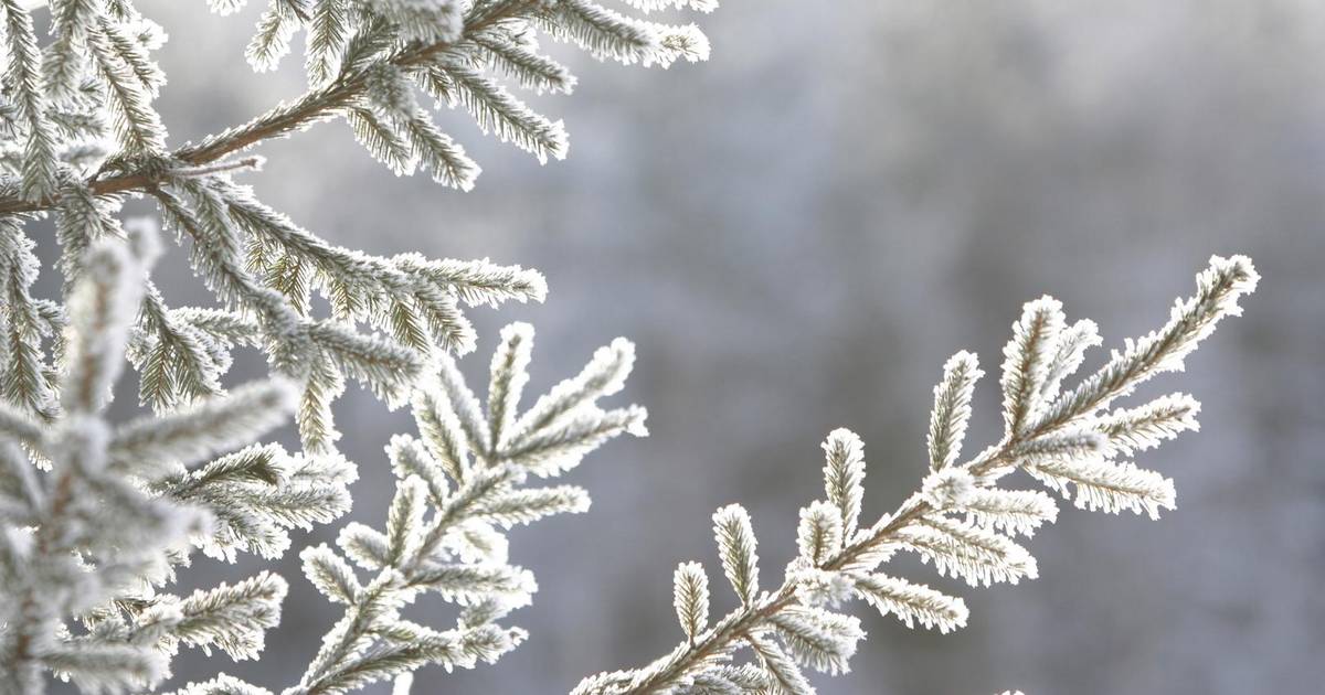 Winterprik is van korte duur | Weernieuws | hln.be