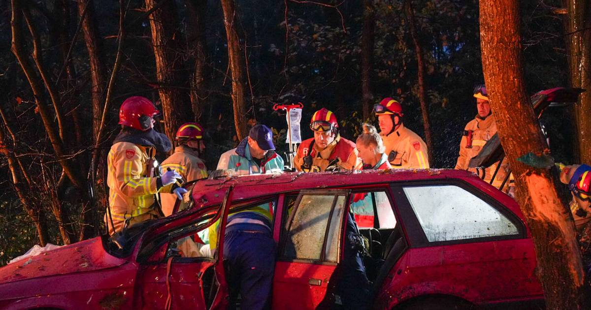 Zwaargewonde bij ernstig ongeluk in Lierop, auto raakt van weg en botst tegen boom | 112 nieuws ...