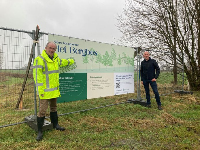 Plantactie voor nieuw Bergbos: “Tegen 2026 acht hectare groot ...