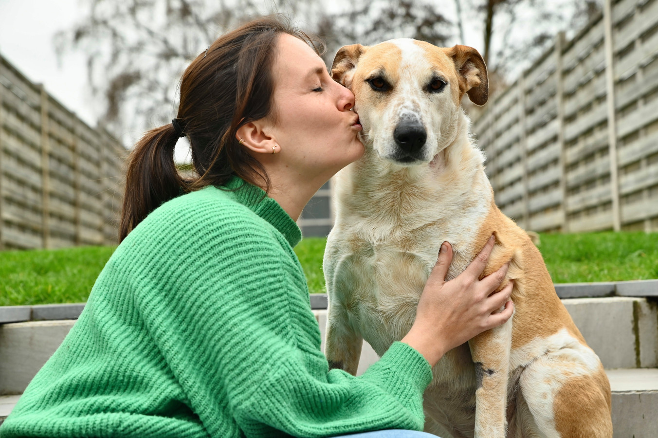 Mélody (33) stelt bucketlist op voor terminaal zieke hond Jenny (9 ... Mélody (33) stelt bucketlist op voor terminaal zieke hond Jenny (9 ...