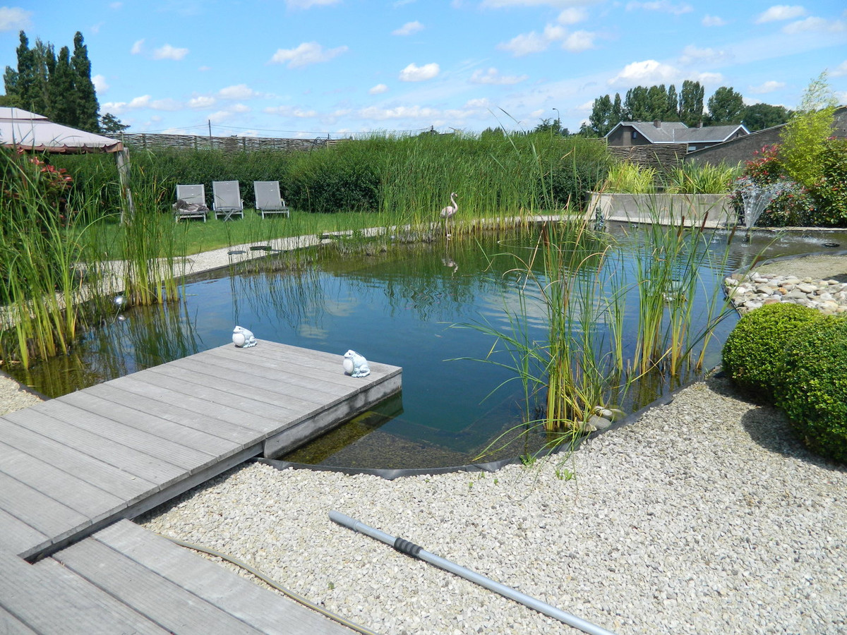 Hoevetoerisme op hof Boer Charel | Foto | hln.be