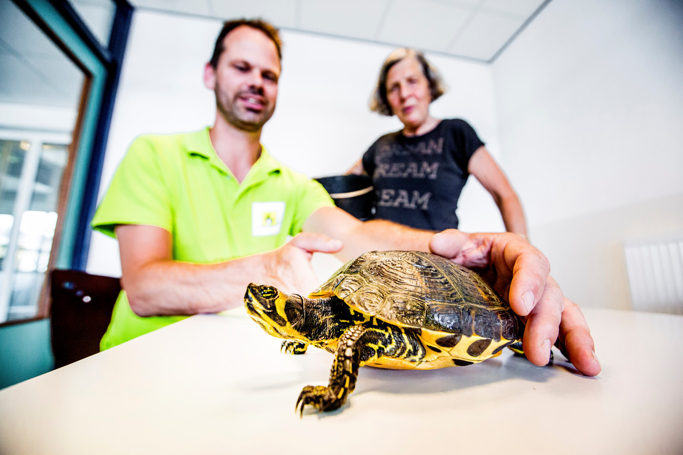 Verbod op handel in exotische dieren vanaf 2024, opvangcentra zetten ...