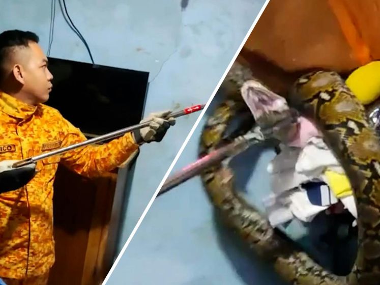 BN DeStem.nl, het laatste nieuws uit Brabant en Zuid-West Nederland ...