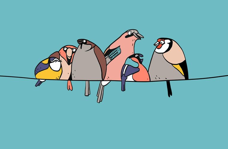 Hoeveel vrienden heb je nodig? ‘We gaan ons niet veel beter voelen als ...