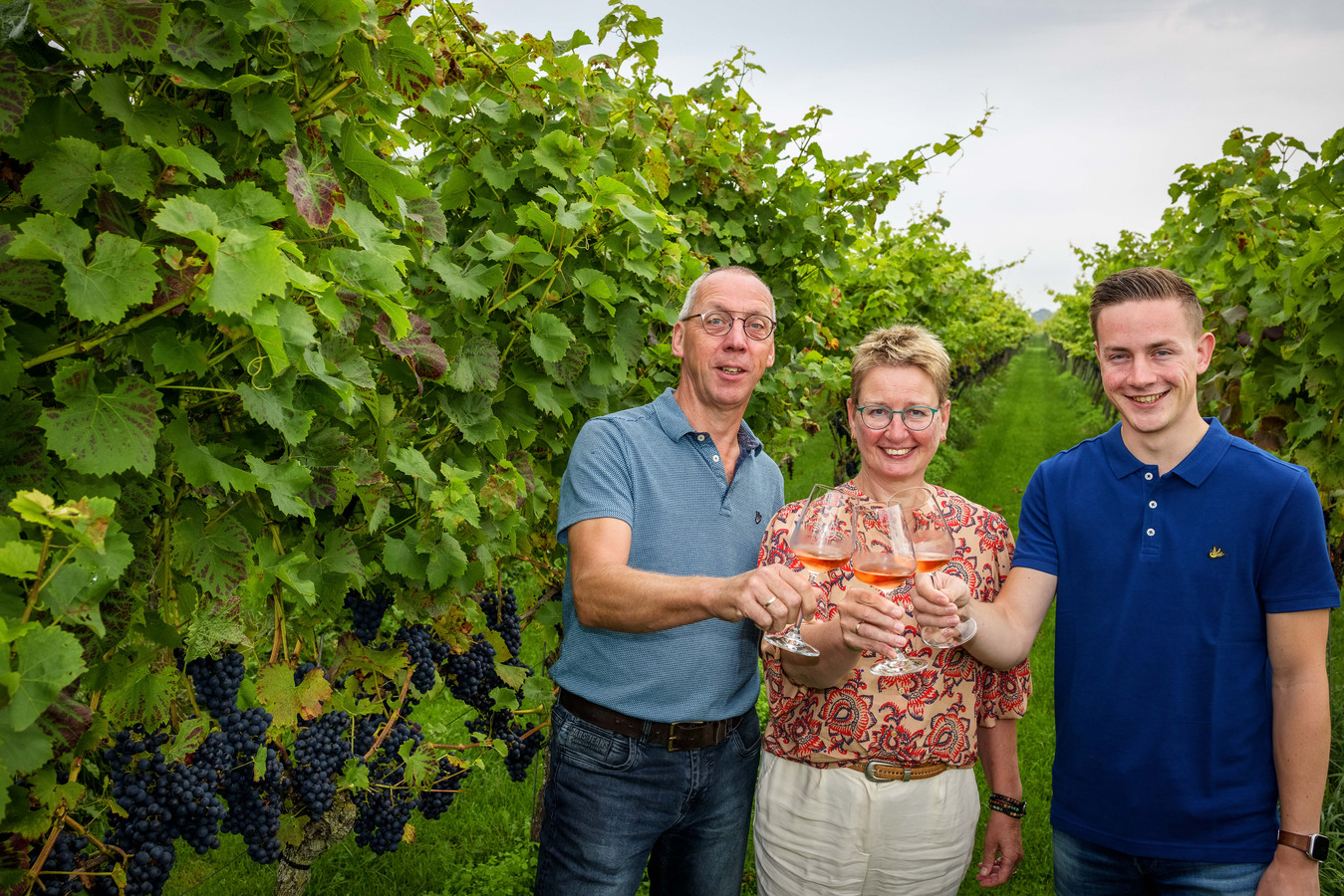De Zuid-Europese wijngaarden drogen op, nemen wij het stokje over ...