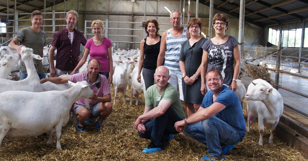Op de boerderij in overall selfies maken met stel geiten | Amersfoort ...