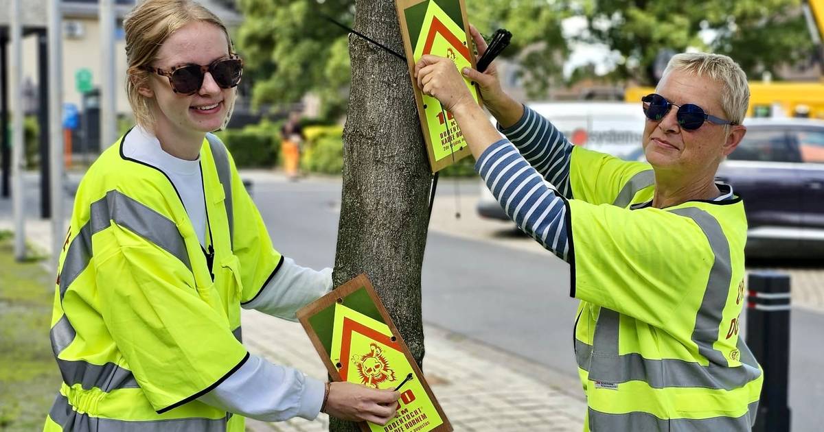 Duizenden pijlen tonen Dodentocht-wandelaars de weg: “Enkele kleine ...