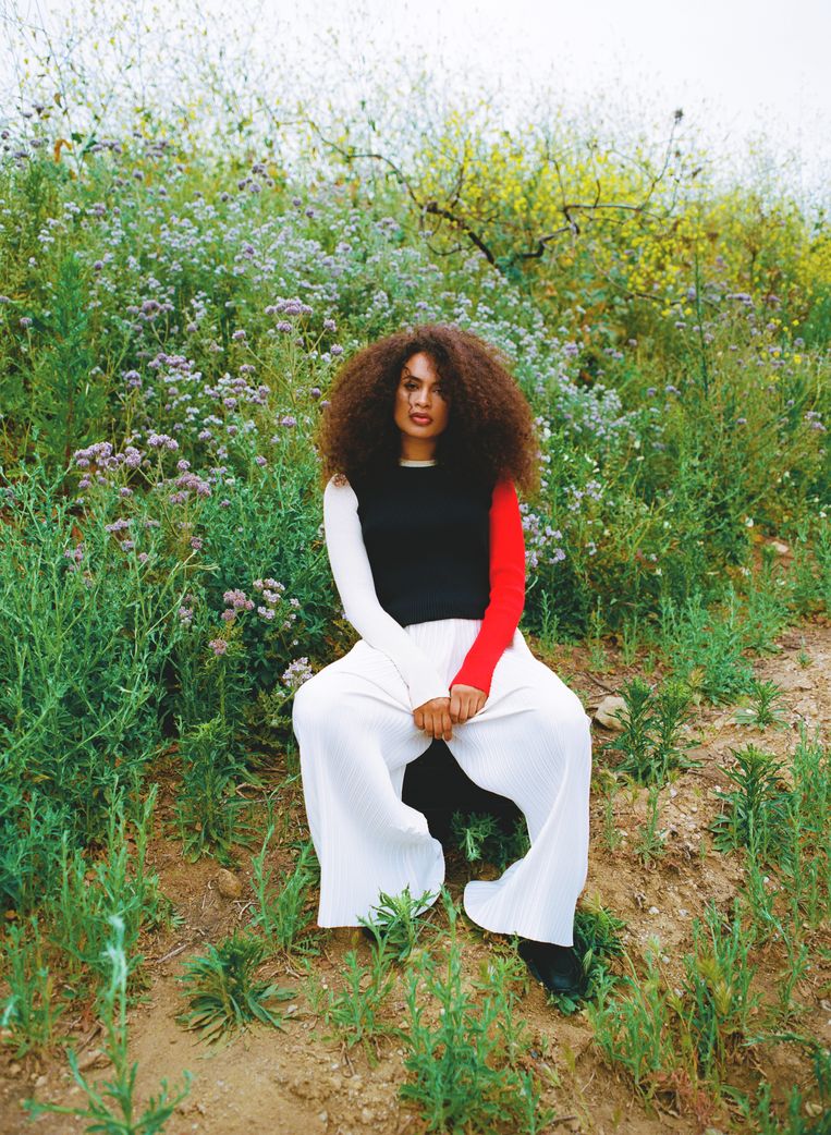 Het Amerikaanse avontuur van zangeres Nicole Bus | Het Parool