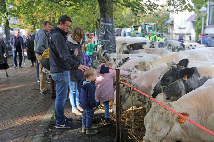 Ternat maakt zich op voor jaarmarkt: prijskampen, kermis en optredens ...
