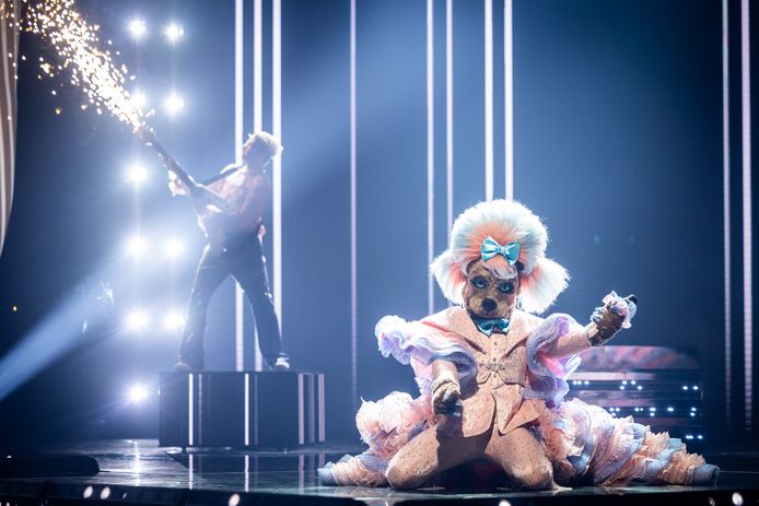 “Zita Wauters is hoofdverdachte voor niet één, maar twee pakken”: onze ...