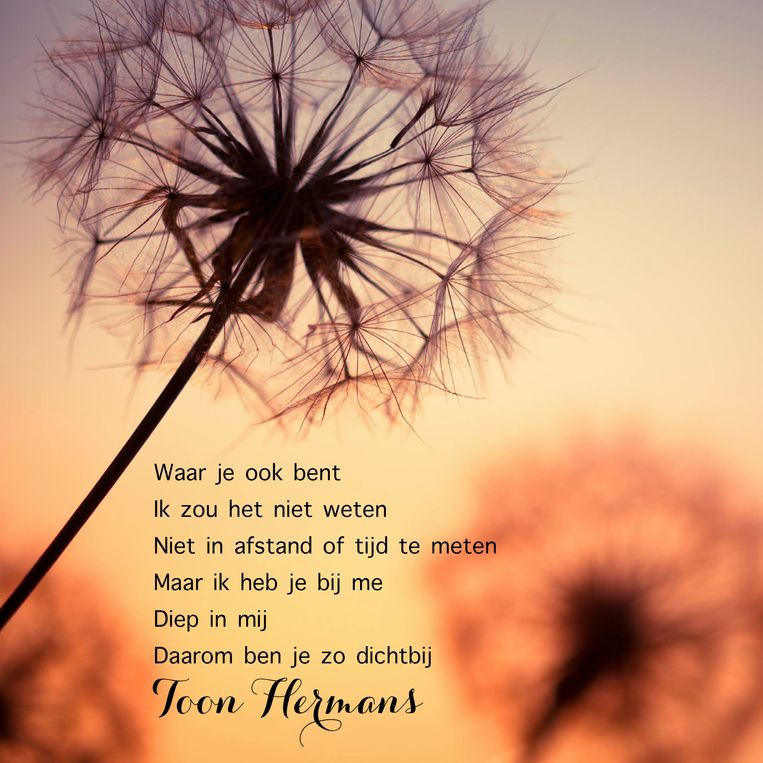 5x mooie gedichtjes om te delen | Libelle