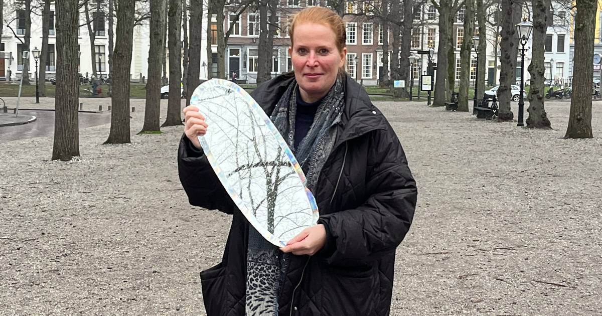 Brigitte wil jouw spiegel(s) | Den Haag | AD.nl