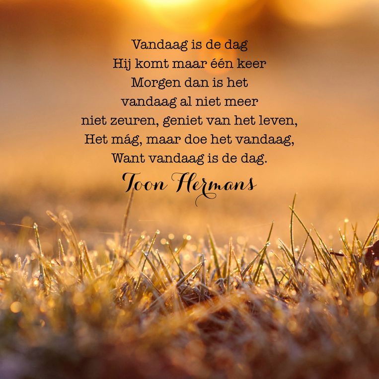 5x mooie gedichtjes om te delen | Libelle