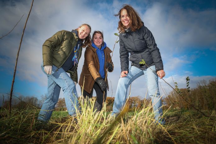 Van braakliggend terrein naar Koesterweide in Leut: “Een oase aan rust omringd door groen, voor ...