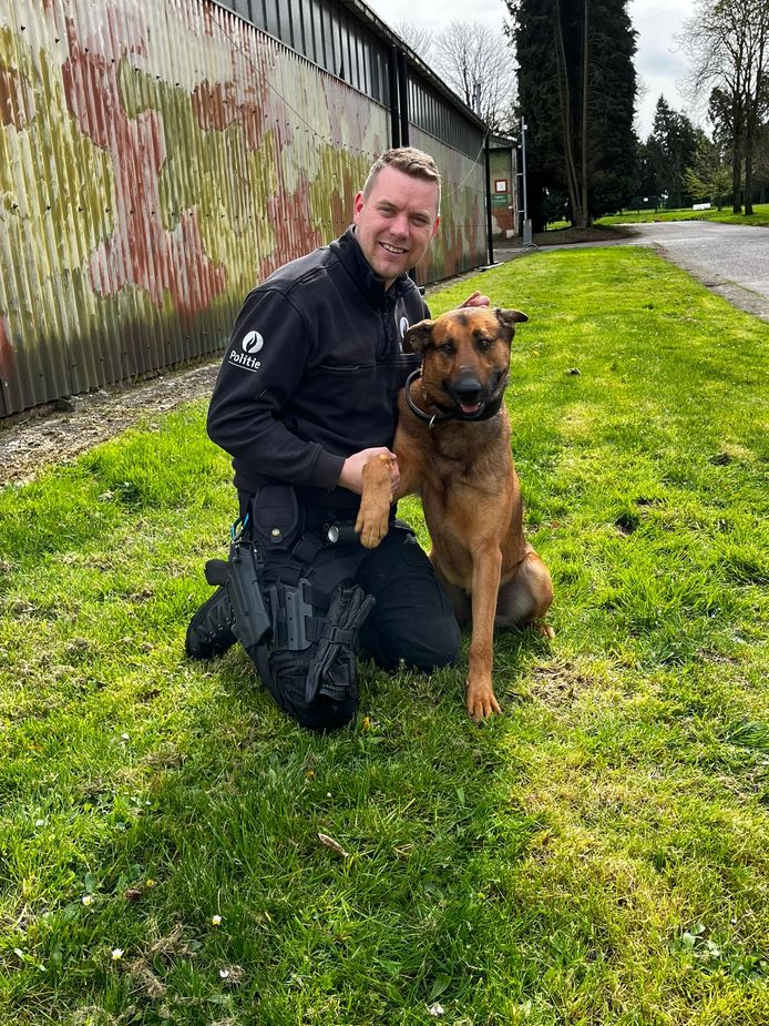 Politie Westkust beschikt met Marco over hond die zowel kan ...