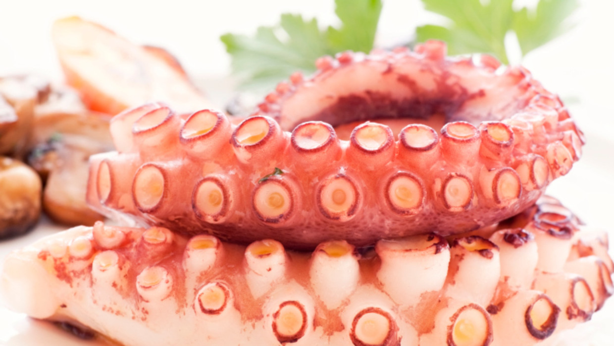 Gegrilde octopus met peterseliedressing | De Volkskrant