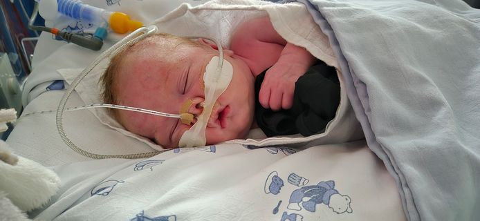 “De dokters vroegen zelfs of we haar wilden laten gaan”: baby Ylvana ...