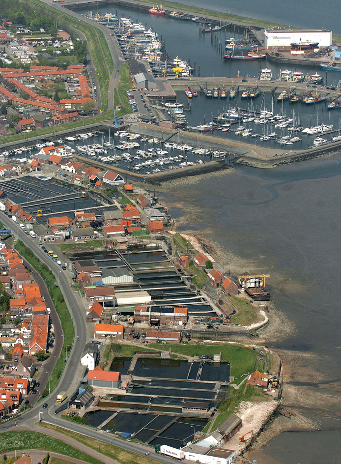 Dorpsraad Yerseke officieel erkend door Reimerswaal | Bevelanden | pzc.nl