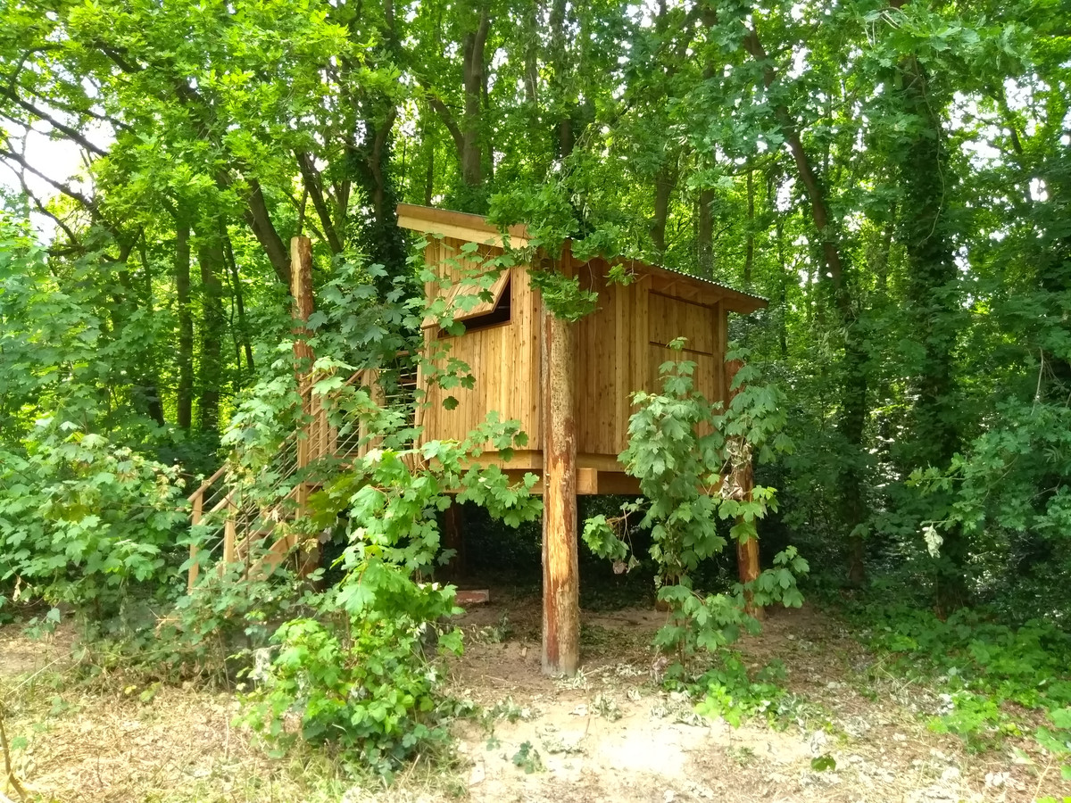 Boomhut van 20.000 euro gaat amper drie jaar na opening in vlammen op ...