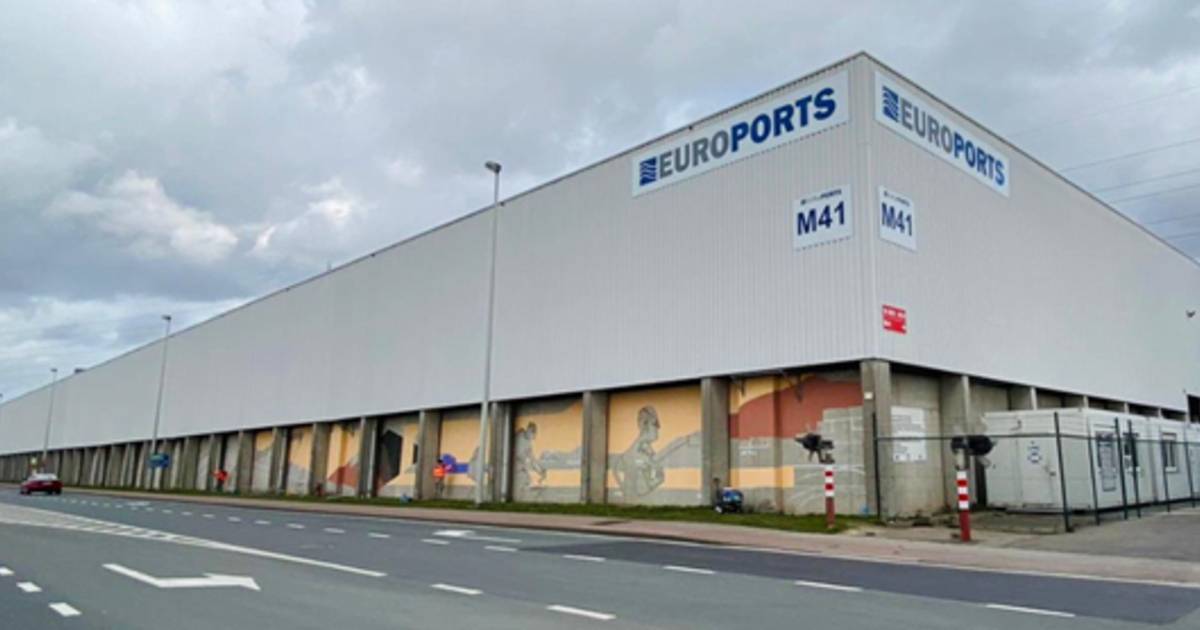 Euroports-magazijn in Vosseschijnstraat krijgt kleurrijke ...