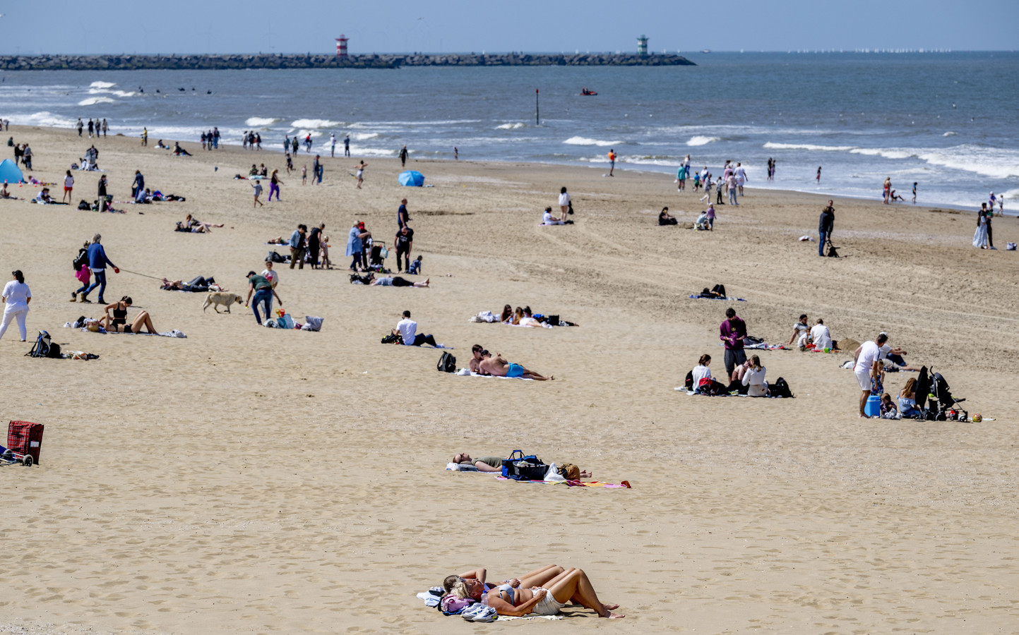 Maak het strand schoon en je mag gratis naar Sea Life | Foto | AD.nl
