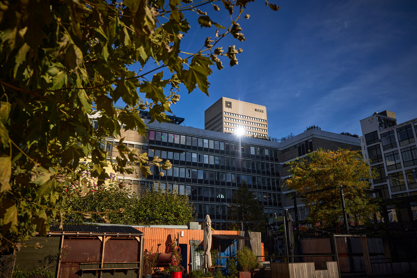 Dit zijn onze meest bijzondere verhalen van de afgelopen week | Foto ...