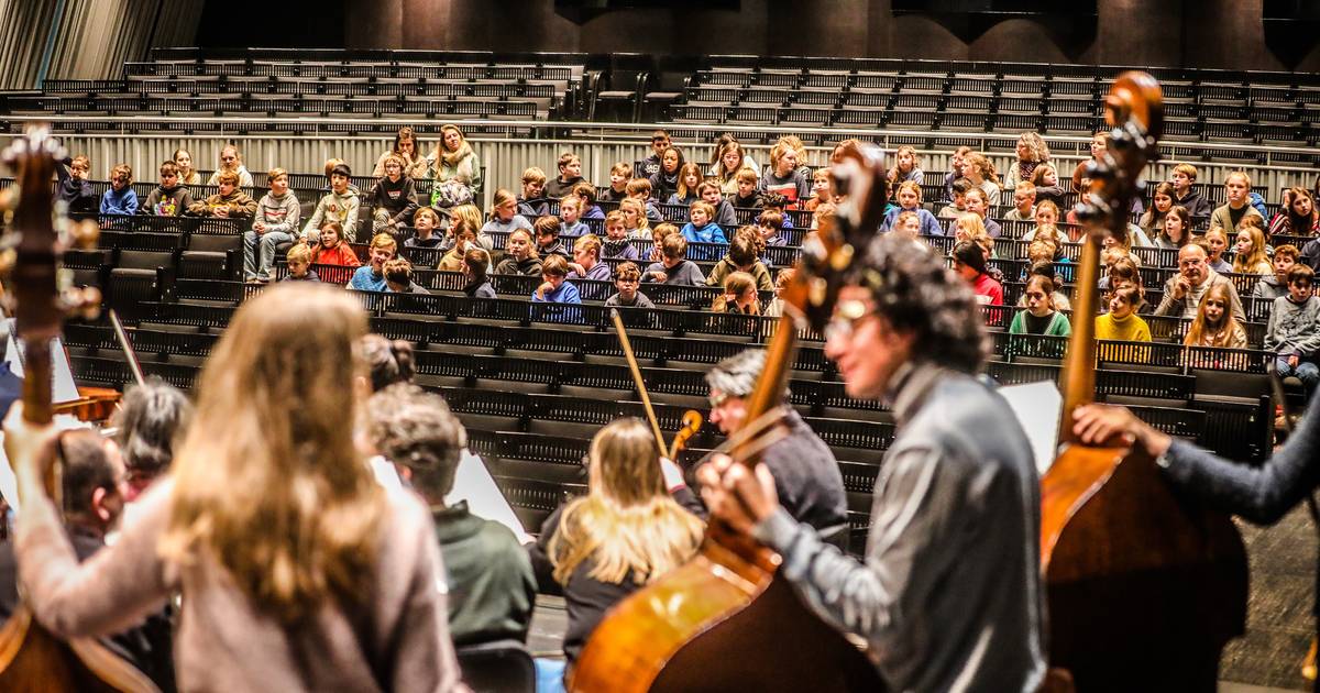 Kinderen Maken Kennis Met Wereldvermaard Huisorkest Anima Eterna In Concertgebouw Brugge Hlnbe