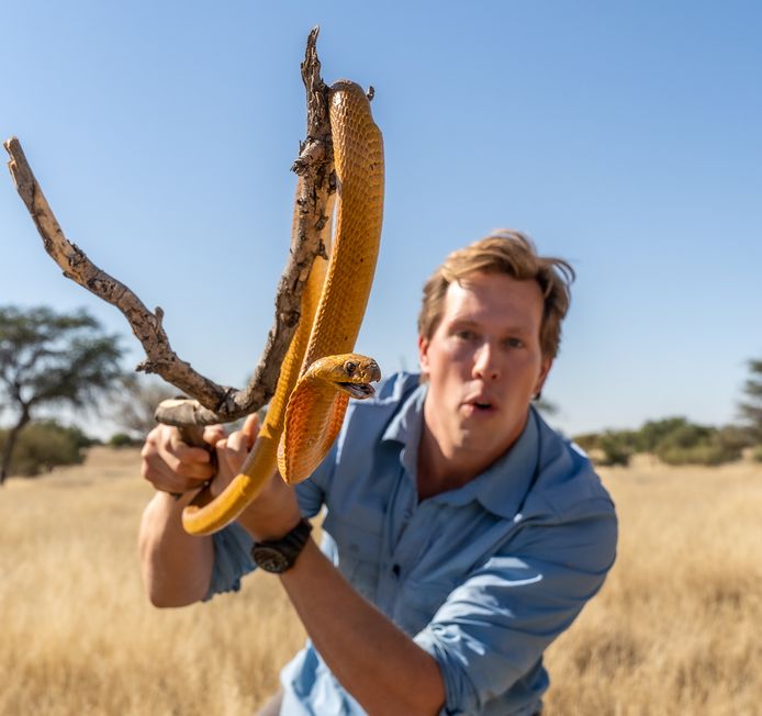 ‘Probeer hem zéker niet zelf te vangen’: Freek Vonk over de ontsnapte giftige slang in Lelystad ...
