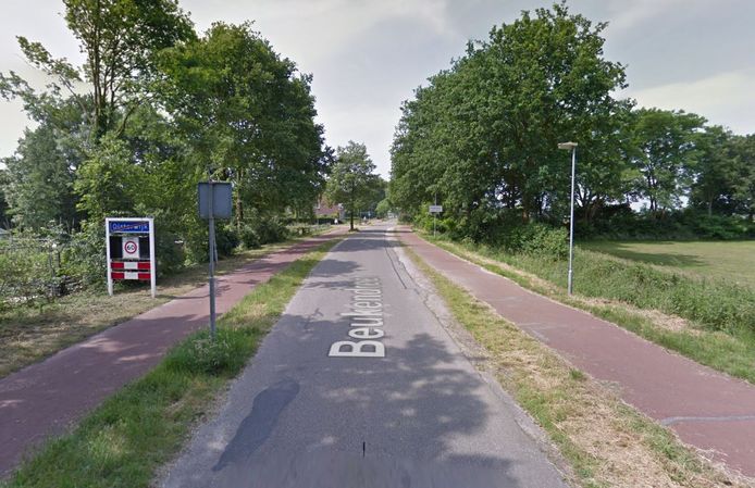 Oisterwijk gaat boomwortels onder het rode fietspad naar Tilburg te ...