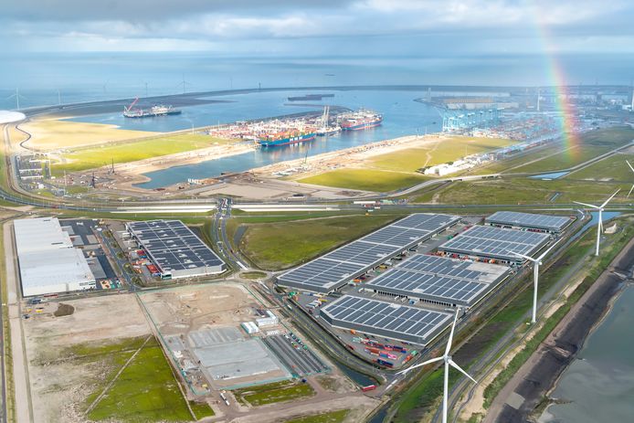 Wethouder: Verplaatsen windmolens naar Maasvlakte is niet reëel | Voorne aan Zee | AD.nl