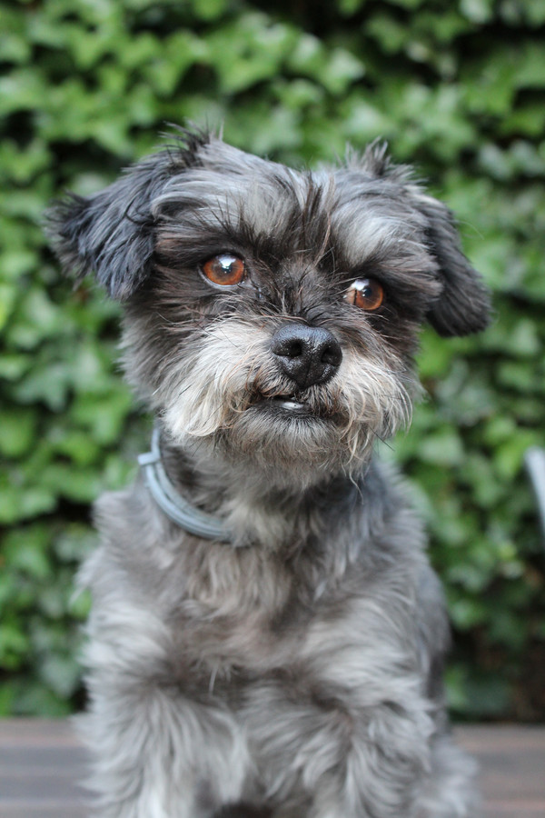Dit zijn onze Frekkels uit de regio | Foto | gelderlander.nl