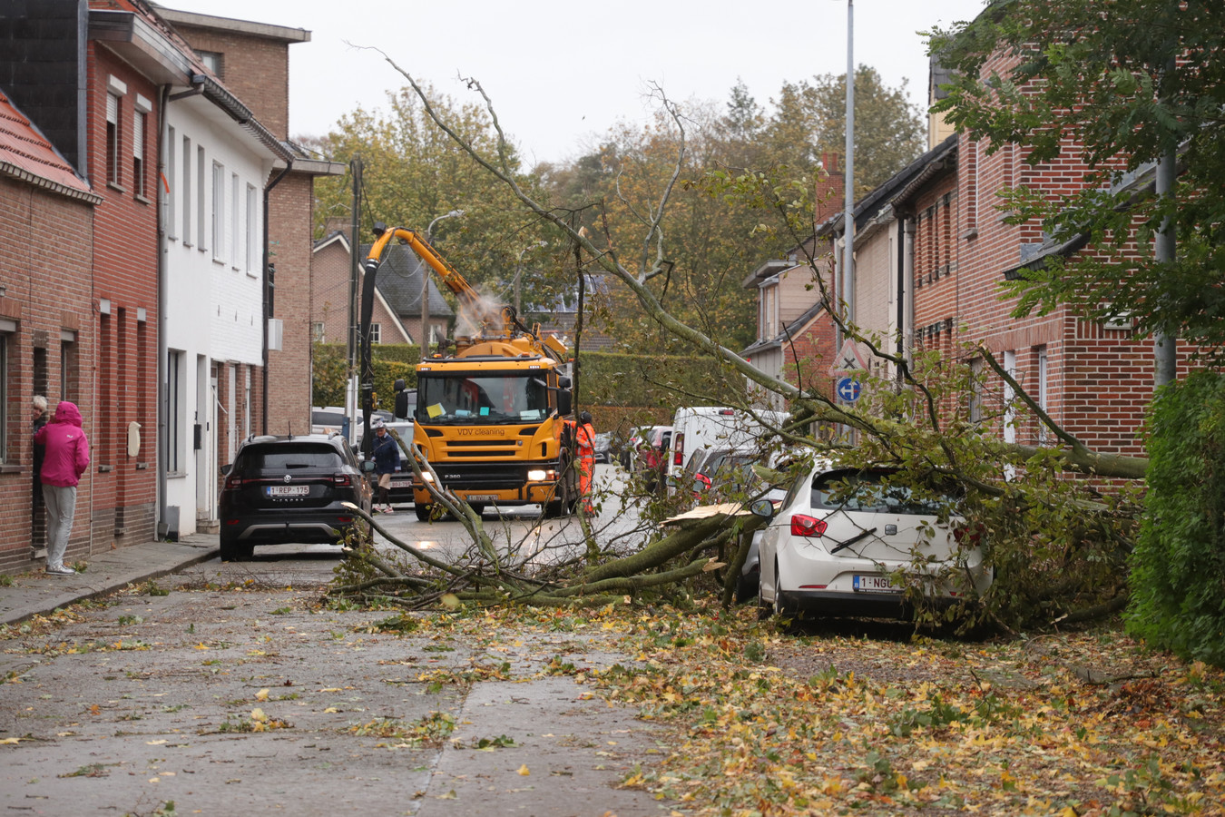 Hulpverleningszone Waasland krijgt 237 meldingen voor stormschade ...