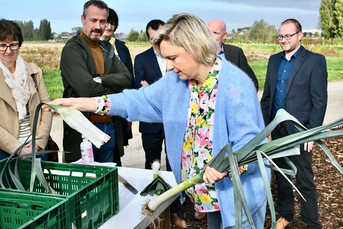 Inagro demonstreert nieuwe kweekmethode voor prei aan minister Crevits ...