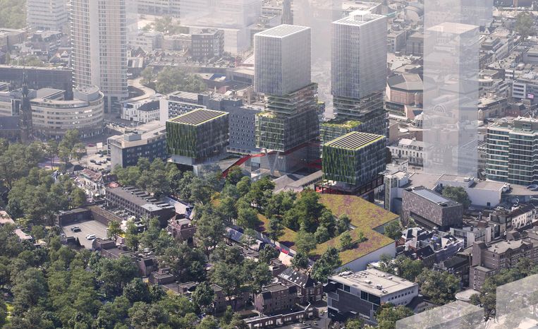 Landschapsarchitect Steven Delva verrassend verkozen tot Architect van ...