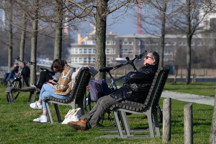 Valentijn schiet raak met heerlijke prille lentedag: heel Antwerpen ...