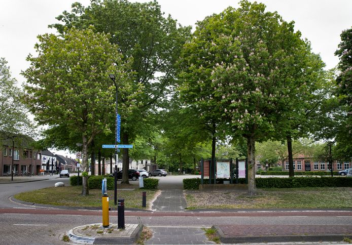 Wie is de meest gemiddelde mens van Heuze? | Asten | ed.nl