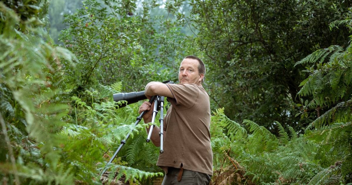 Natuurfotograaf Robert-Jan legt Thools wild fraai vast op de gevoelige ...