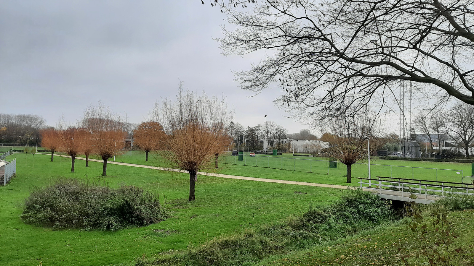 SGP gooit de knuppel in het hoenderhok: ‘Bouw het nieuwe Lodewijk ...