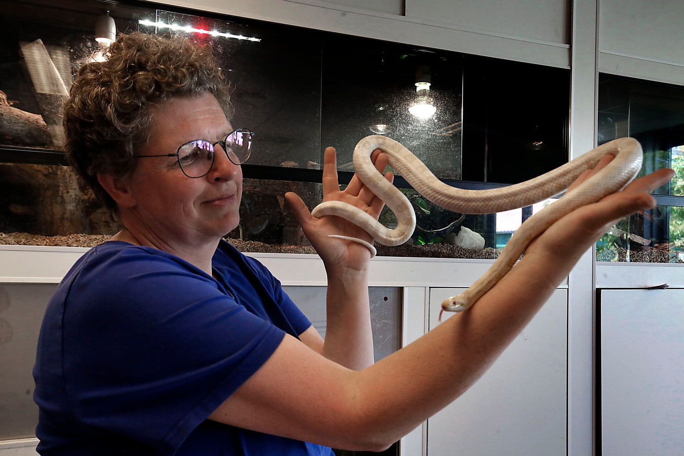 Dikke zes weken zomervakantie, maar wie zorgt er voor de dieren van het ...